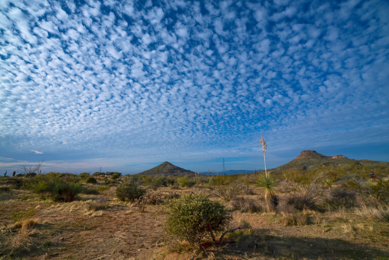 Popular Hikes and Trails - McDowell Sonoran Conservancy