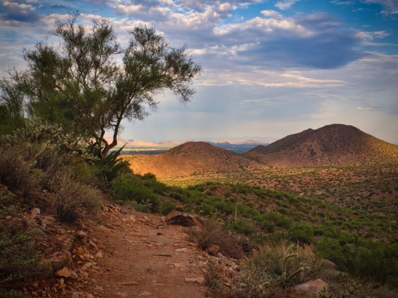Sunrise - McDowell Sonoran Conservancy