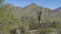 Gateway - McDowell Sonoran Conservancy