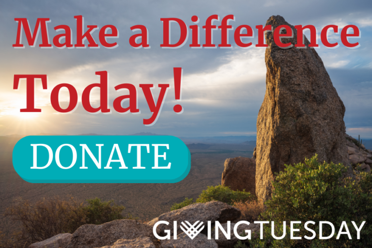 Brown’s Ranch – McDowell Sonoran Conservancy